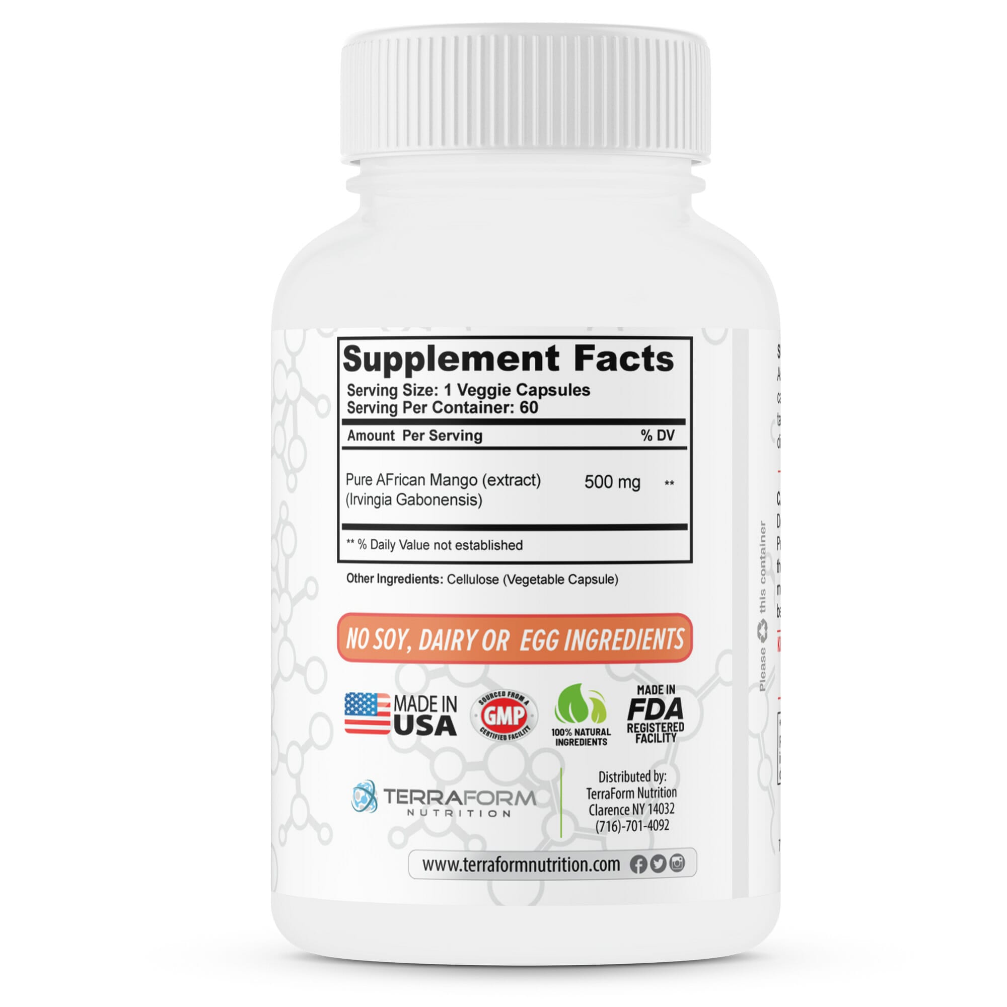 Pure African Mango Extract - 500mg - 60 Capsules - TerraForm Nutrition